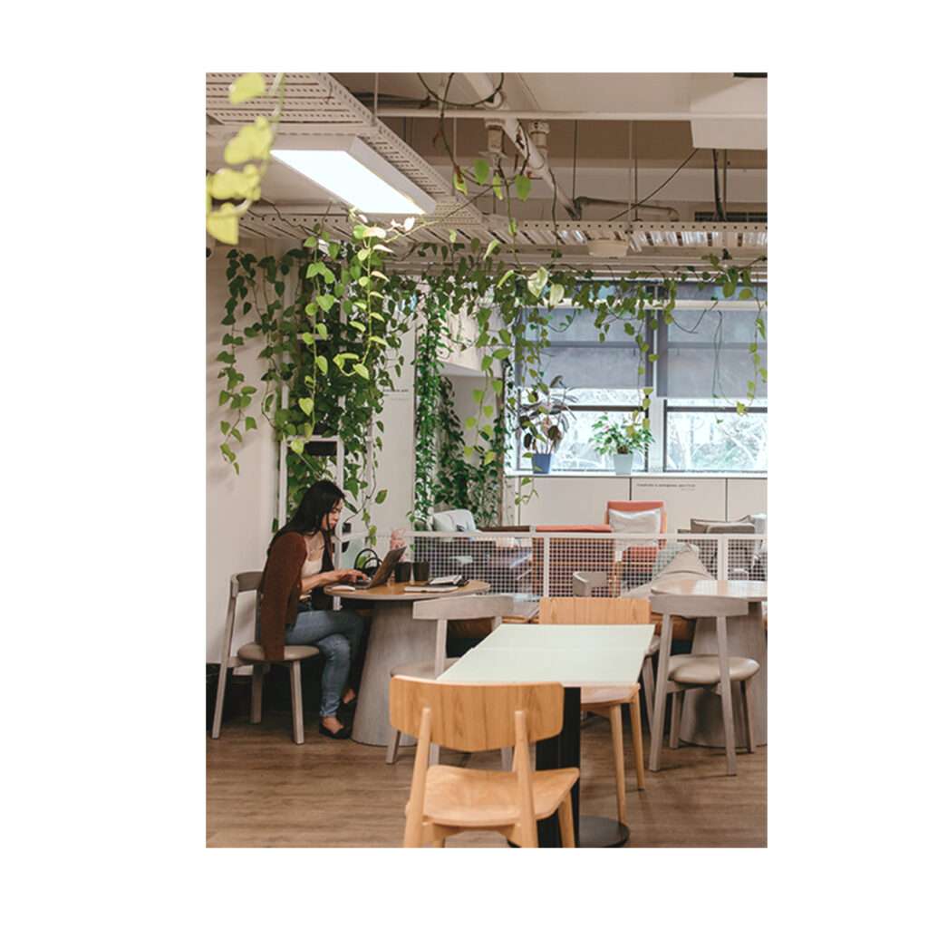 Fishburners Community Desk Membership